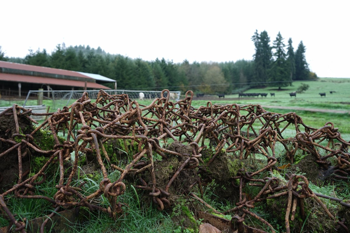 12 Lessons from the Farm | Hey, Girlfriend!