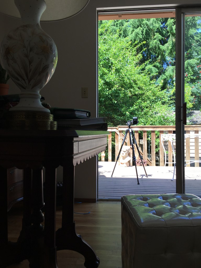 10 Tips For Shooting Your Own Professional Looking Self Portrait | Hey ...